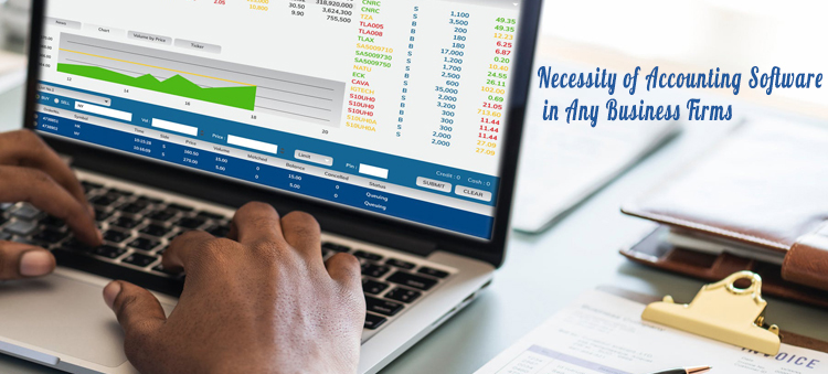 Necessity of Accounting Software in Any Business Firms