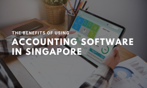 Accounting Software Solutions for Business Efficiency