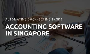 Accounting Software Solutions for Business Efficiency